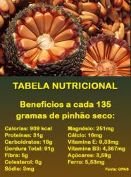 Farinha de pinhão: mais nutritiva e sem glúten - A Lavoura