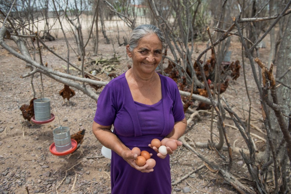 Projeto brasileiro é o melhor do mundo para populações rurais carentes ...