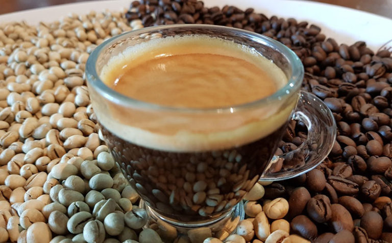 Rondônia pode ter a primeira Indicação Geográfica de café canéfora do ...