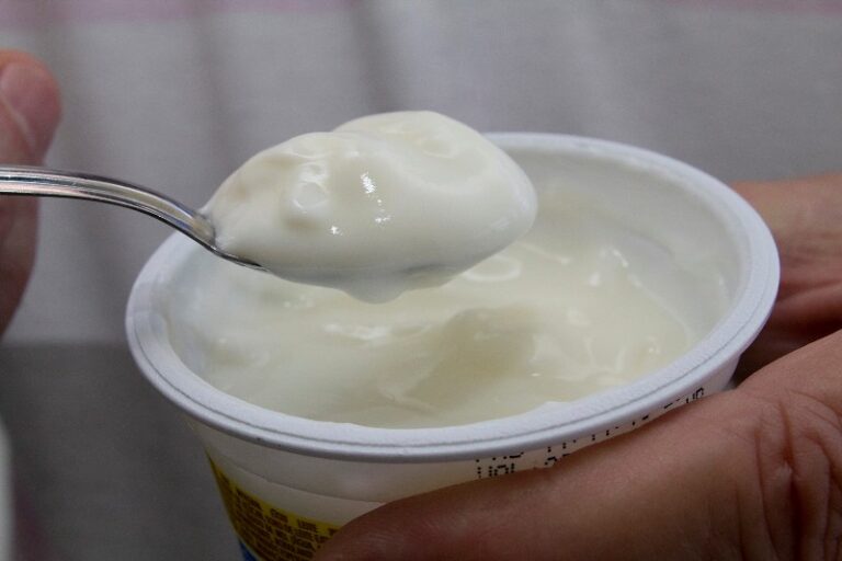 Leite, a melhor fonte de cálcio que existe - A Lavoura