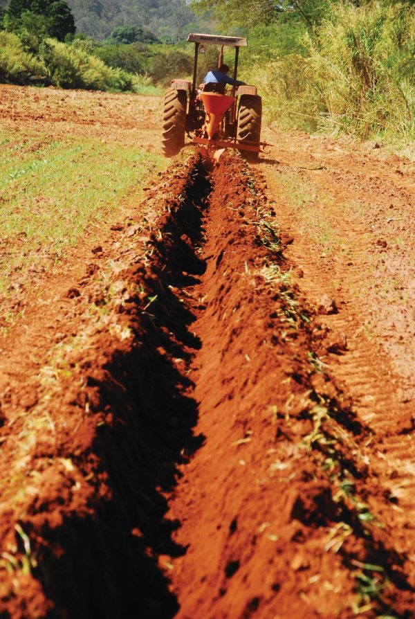 Irrigação que cabe no bolso - A Lavoura