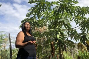 Biofiltro permite o reuso da água doméstica para produzir alimentos e ...