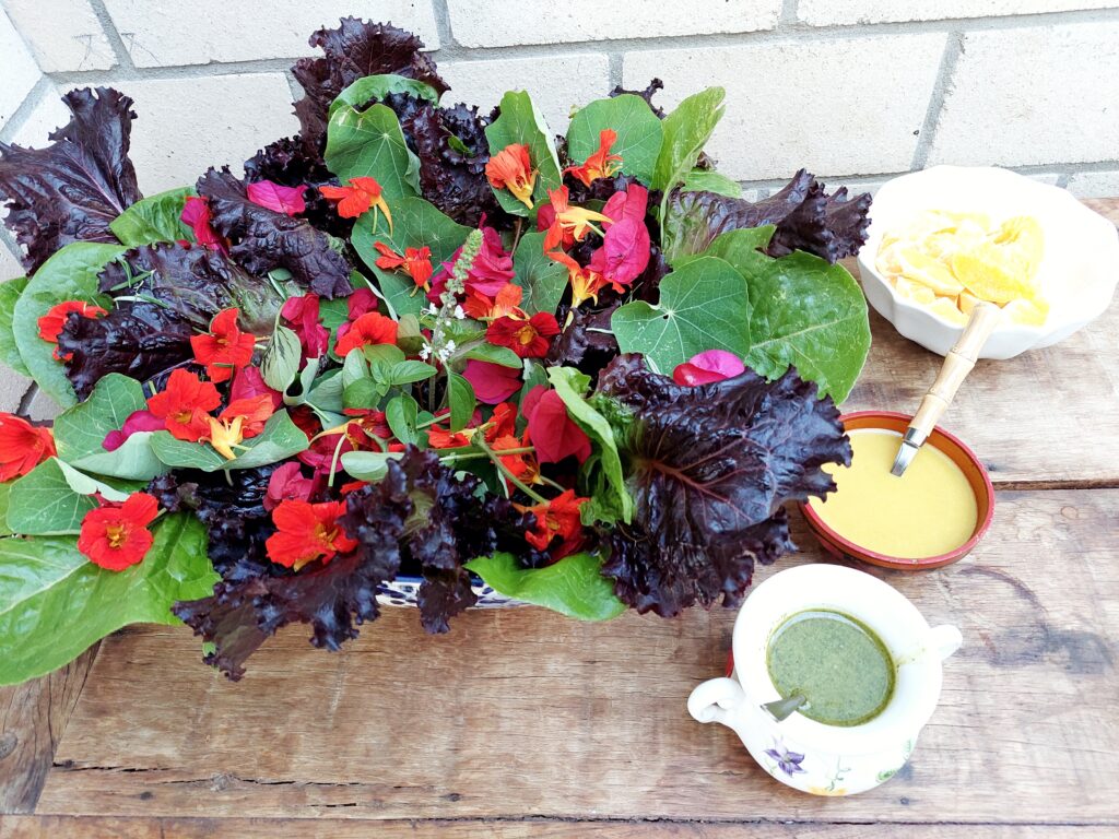 O que são PANC? - A Lavoura